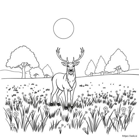 Stag Colouring Pages
