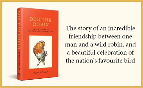 Bob The Robin A True Story Of The Friendship Between One Man And Britains Favourite Garden