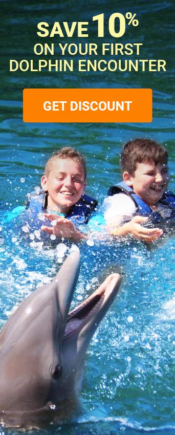 How Do Dolphins Use Echolocation