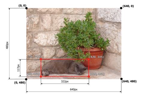Compare Object Detection Models From Torchvision