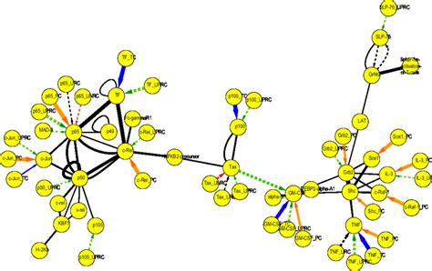Visualization Of A Subgraph Of The Integrated Network Constructed On Download Scientific