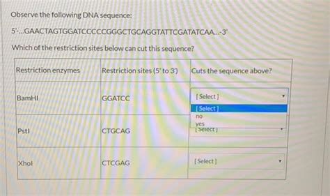 Solved Observe The Following DNA Sequence Chegg