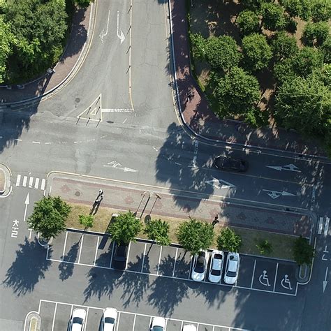 Yolo Object Detection Object Detection Dataset And Pre Trained Model By