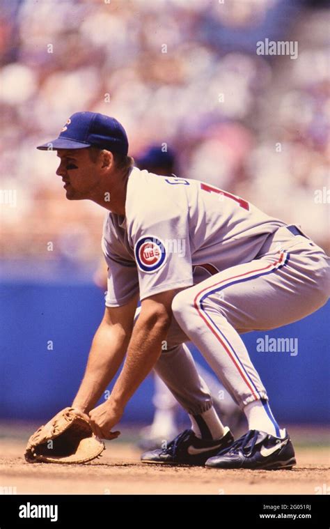 Chicago Cubs First Baseman Mark Grace Please Credit Photographer