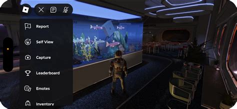 Experience Controls Roblox Support