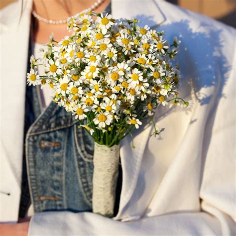 Свадебный букет из 9 ромашек №533 маленького размера купить в Москве с доставкой недорого Цветочка