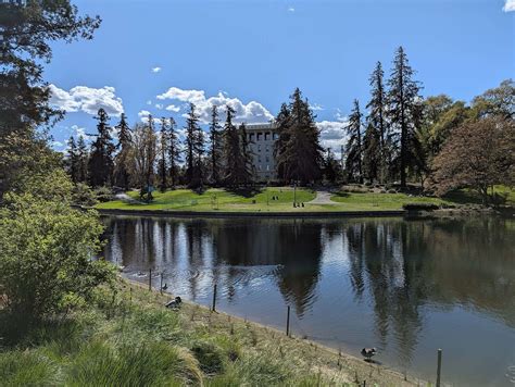 Uc Davis Gpa Requirements Ivy Coach