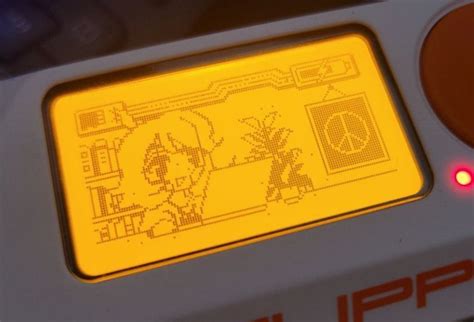 I Never Really Liked Original Dolphin Rflipperzero