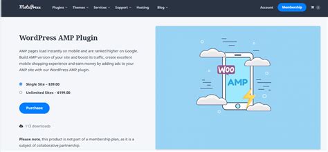 Amp In Wordpress An Overview Of The Best Wordpress Amp Plugins Ionos Ca