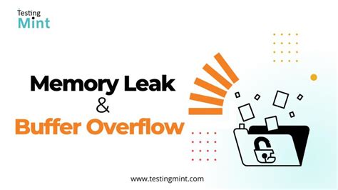 Testing Mint On Linkedin Memory Leak And Buffer Overflow