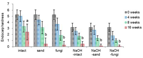 Microbial Inoculation Is Crucial For Endocarp Opening Of Panax Ginseng Seeds In Warm Indoor