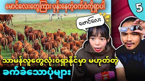 လျှင်လှပါတယ်ဆိုတဲ့မျက်စိတောင် ထိုင်ငိုသွားရမယ့် ဖွတ်ထားတဲ့ပုံများ အပိုင်း ၅ Youtube