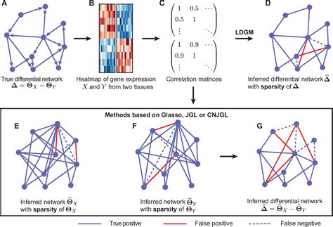 Figure 1 From Identifying Gene Regulatory Network Rewiring Using Latent Differential Graphical