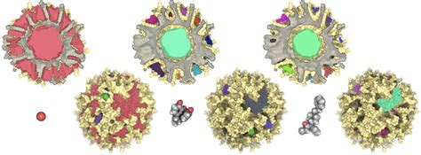 ses and les with cavity cores of a dendritic core multi shell