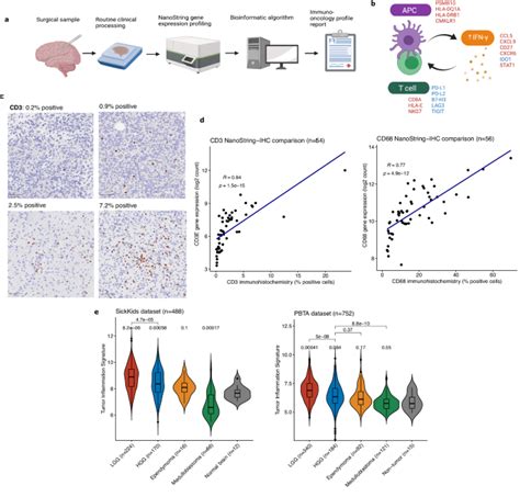 儿科脑肿瘤的免疫肿瘤学分析揭示了肿瘤免疫微环境的主要临床意义 Nature Communications X Mol