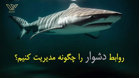 Winup On Linkedin چطور باید با کوسه‌ها شنا کرد؟ تعجب نکنید؛ این جمله