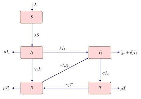 2 A Compartmental Representation Of The Epidemic Of Ma Use Download Scientific Diagram