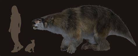 Megafauna 3d Lestodon