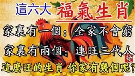 這六大福氣生肖！家裏有一個全家不用愁！家裏有兩個連旺三代人，這麼旺的生肖！你家有幾個呢？【佛之緣】 Youtube