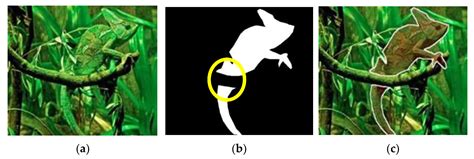 Camouflage Object Segmentation Using An Optimized Deep Learning Approach