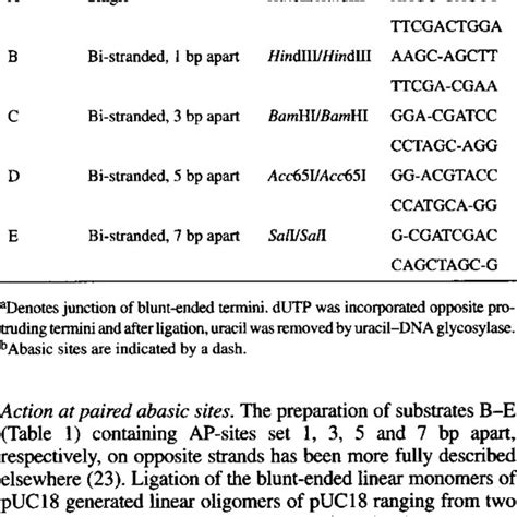 DNA Sequence And Position Of Abasic Sites At Ligated PUCl8 Termini