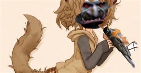 Bogany Album On Imgur