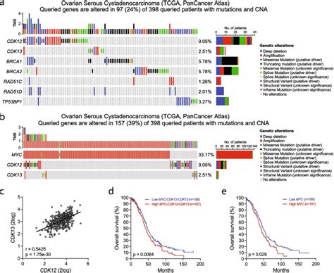 Dual Inhibition Of Cdk12 And Cdk13 Uncovers Actionable Vulnerabilities In Patient Derived