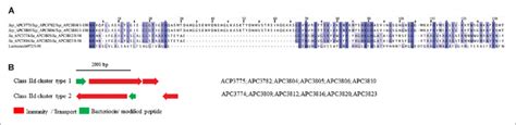 Multiple Sequence Alignments Msa Of Class Iid Bacteriocin Download Scientific Diagram