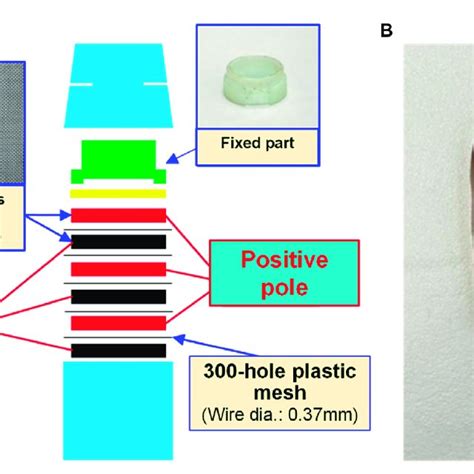 Electrolytic Module A Schematic Diagram And B Physical Picture