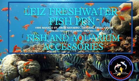 Aqua Framework Aqua Framework Added A New Photo