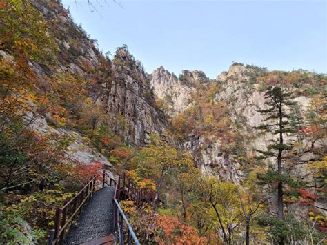 설악산 등산코스 오색 대청봉 천불동계곡 비선대 이 가을 놓치고 싶지 않은 그 곳 네이버 블로그