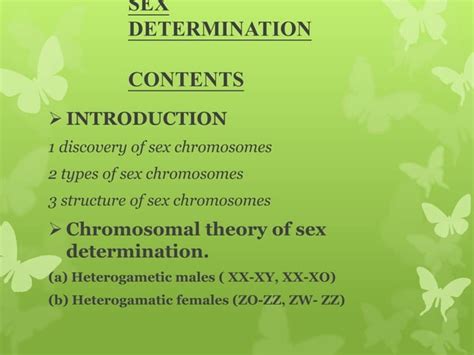 Sex Determination Chromosomal Theory Of Sex Determination PPTX Reproductive Health