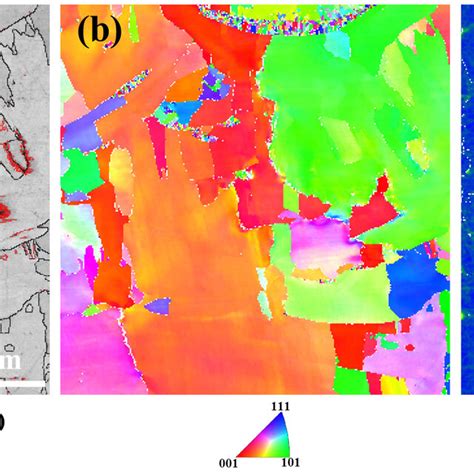 A Ebsd Image Quality Map And B Inverse Pole Figure Ipf Color Map Download Scientific