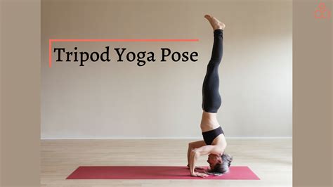 Tripod Yoga Pose Anatomy How To Do It And Benefits