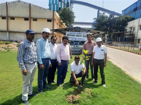 Bhoopendra Singh On Linkedin Lets Plant Trees Save The Environment