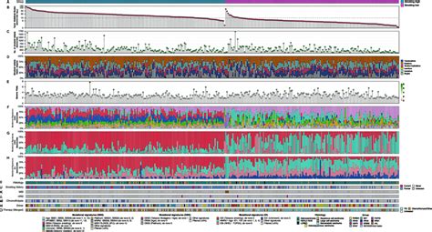Overview Of The Genomic Landscape For Each Sample Column We Display Download Scientific