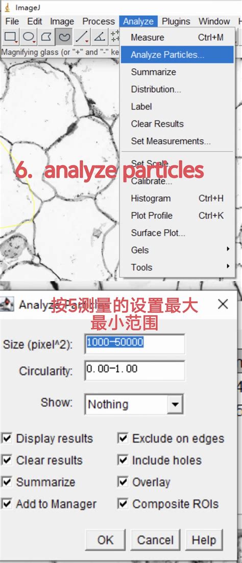 Imagej测量细胞面积和大小的详细指南