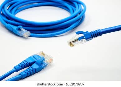 Lan Cable Connect Network Device Stock Photo Shutterstock