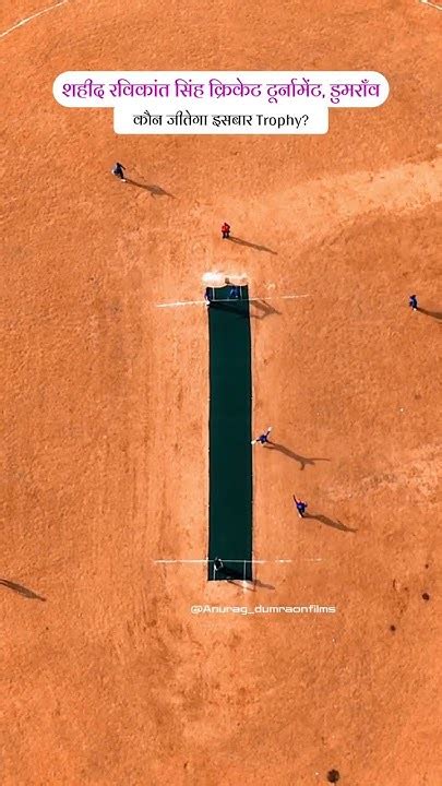 Cricket Lovertrendingshorts Cricket Youtube