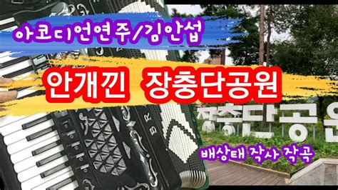 안개낀 장충단공원아코디언김안섭 Youtube