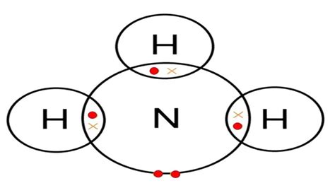 Electron Dot Structure Of Nh3 Class 10 Remedial Classes