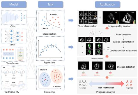 Overview Diagram Of Ais Application In Echocardiography Current Download Scientific Diagram
