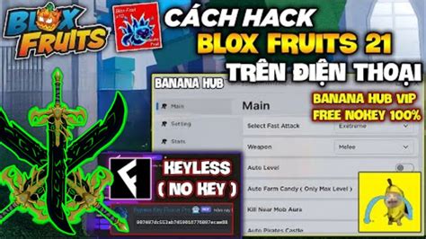 Cách Hack Max Level Script Free Nokey 100 Trong Blox Fruits 21 Fluxus