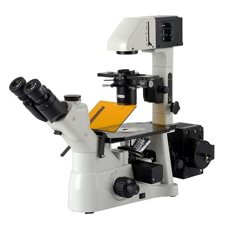 Bs 2190bf Fluorescence Inverted Biological Microscope