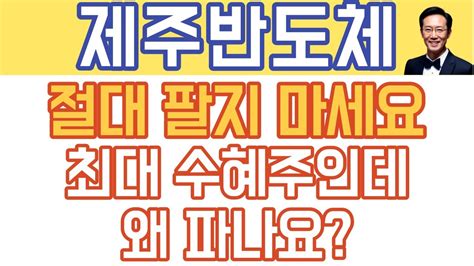 제주반도체 주가전망 절대 팔지 마세요 최대 수혜주인데 왜 파나요 Youtube