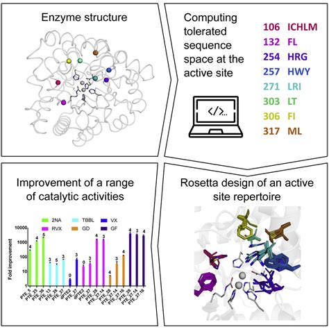 Automated Design Of Efficient And Functionally Diverse Enzyme Repertoires Molecular Cell