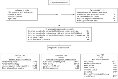 Screening Recruitment And Diagnostic Classification Download Scientific Diagram