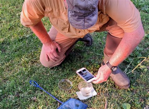 Virtual Training Adding Aquatic Macroinvertebrate Observations To Inaturalist Scistarter