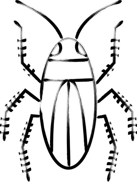 12 Cockroach Characteristics Royalty Free Photos And Stock Images