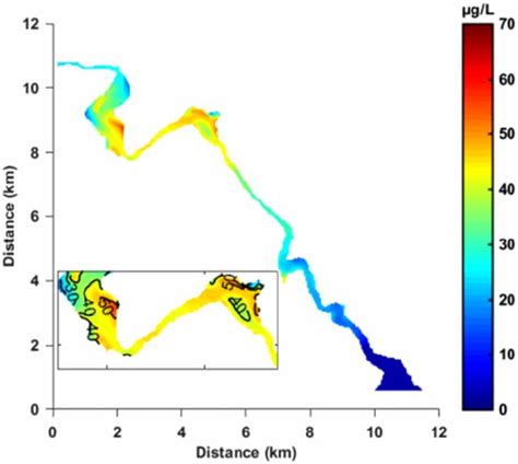 Spatial Distribution Of Phytoplankton During The Flood Season Of 2017 Download Scientific